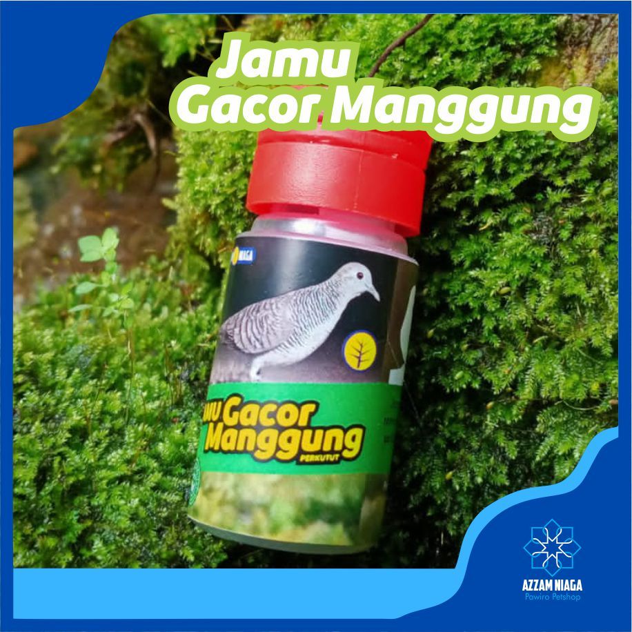 Jual jamu gacor manggung spesial burung perkutut, pil perkutut isi ...