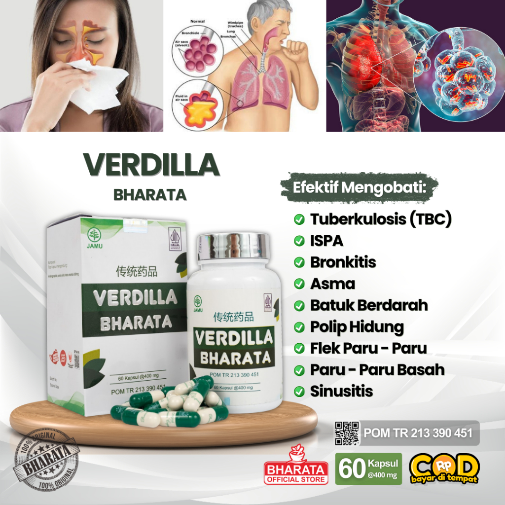 Jual Verdilla Bharata - Kemasan 60 Kapsul @400mg Original | Shopee ...