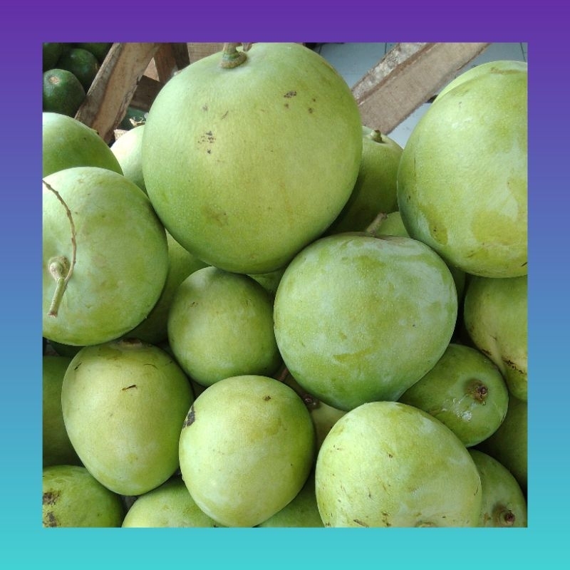 Jual Buah mangga apel segar 1 kg | Mangga apel | Buah mangga fresh ...
