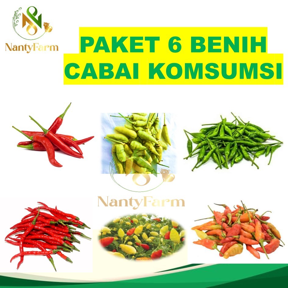 Jual Paket 6 Benih Jenis Cabai Paket Benih Cabe - Cabean | Shopee Indonesia