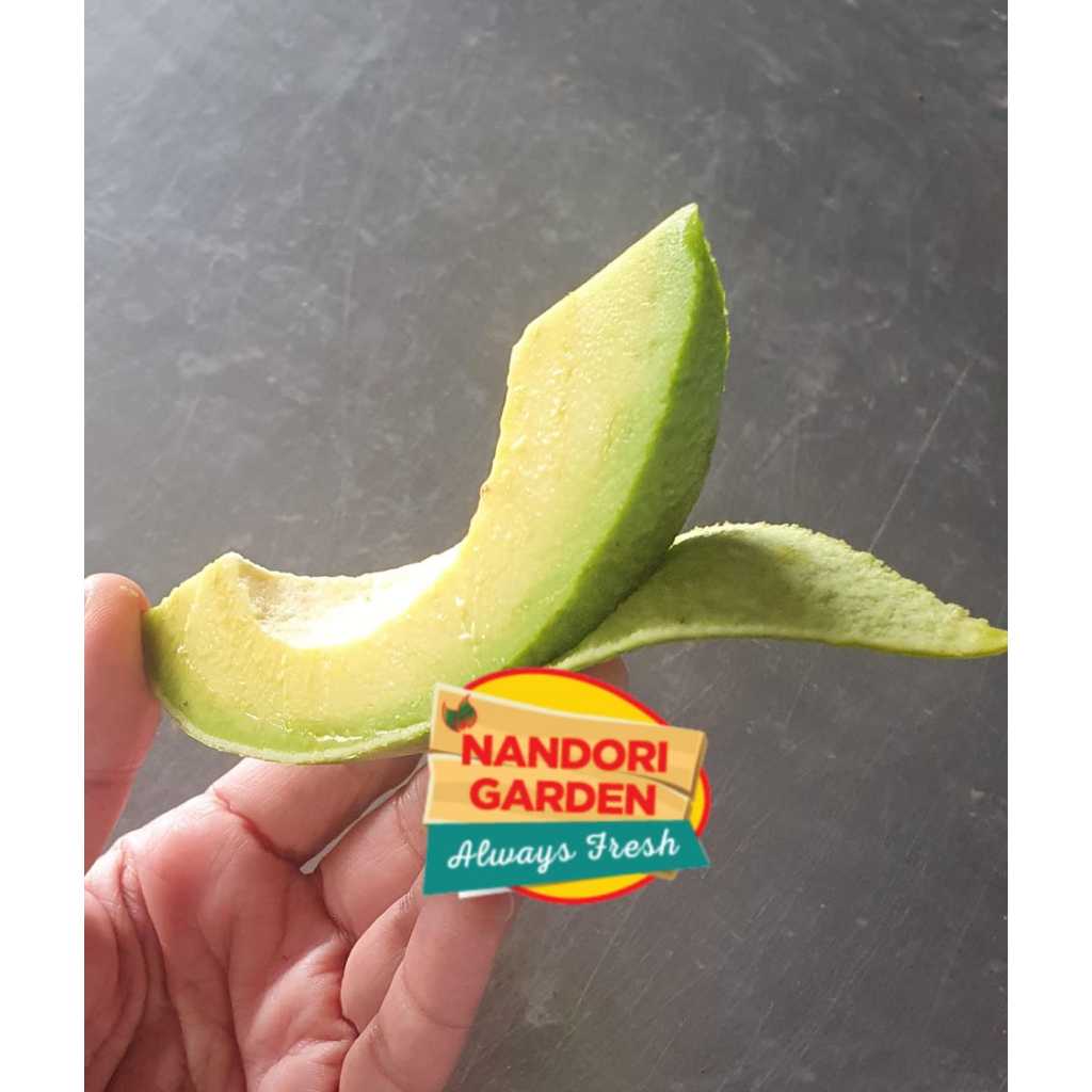 Jual Nandori Garden Alpukat MENTEGA MIKI VIRAL 1KG | Shopee Indonesia