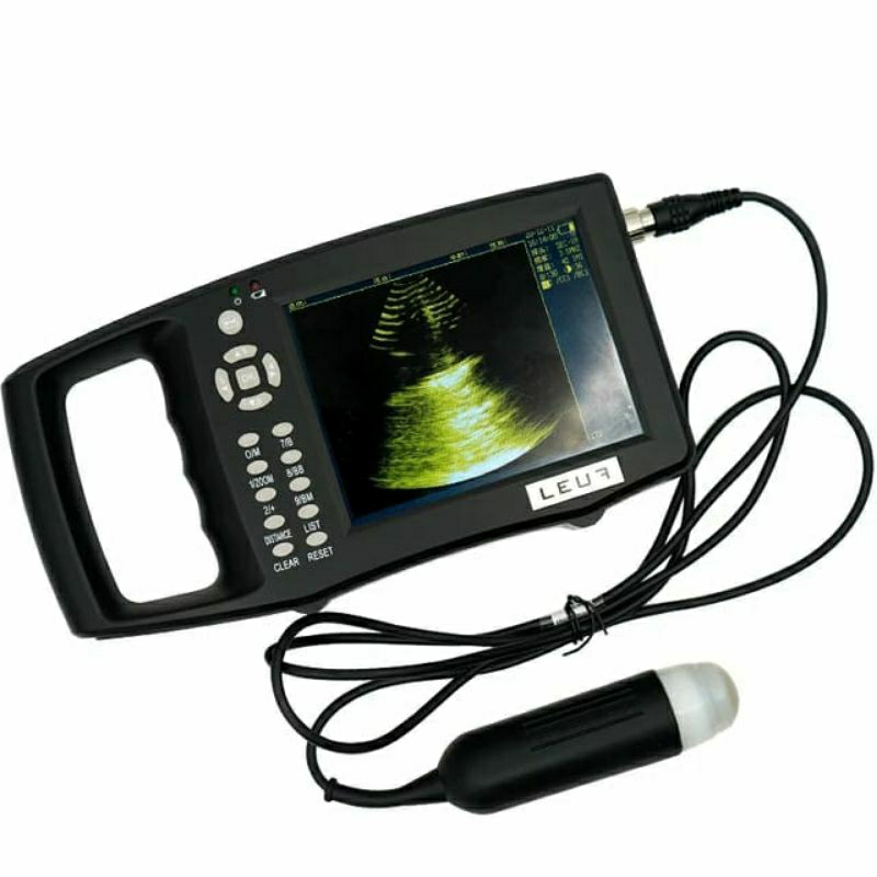 Jual Alat USG hewan ternak untuk Kambing,Domba,Babi Ultrasound uji ...