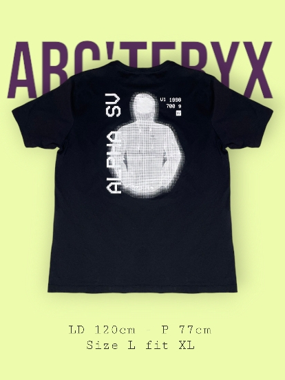 Jual Arcteryx Alpha SV Graphic T shirt Gunung - Gorpcore Vintage Barang ...