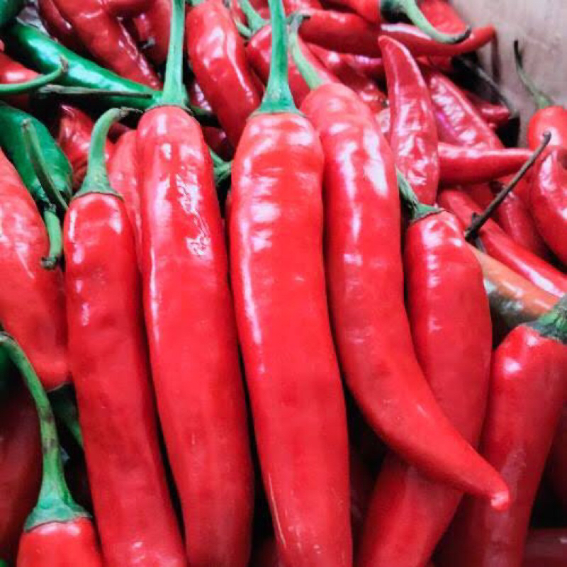 Jual cabe merah besar 1kg | cabe merah besar fresh | lombok abang gede ...