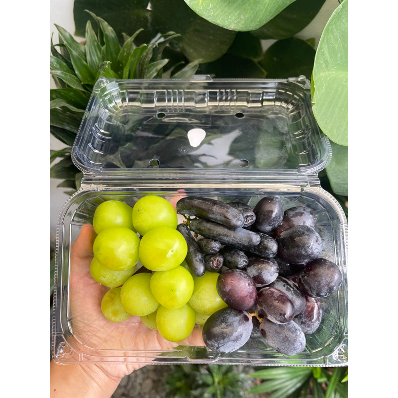 Jual Mix Grapes pack 500gr | Shopee Indonesia
