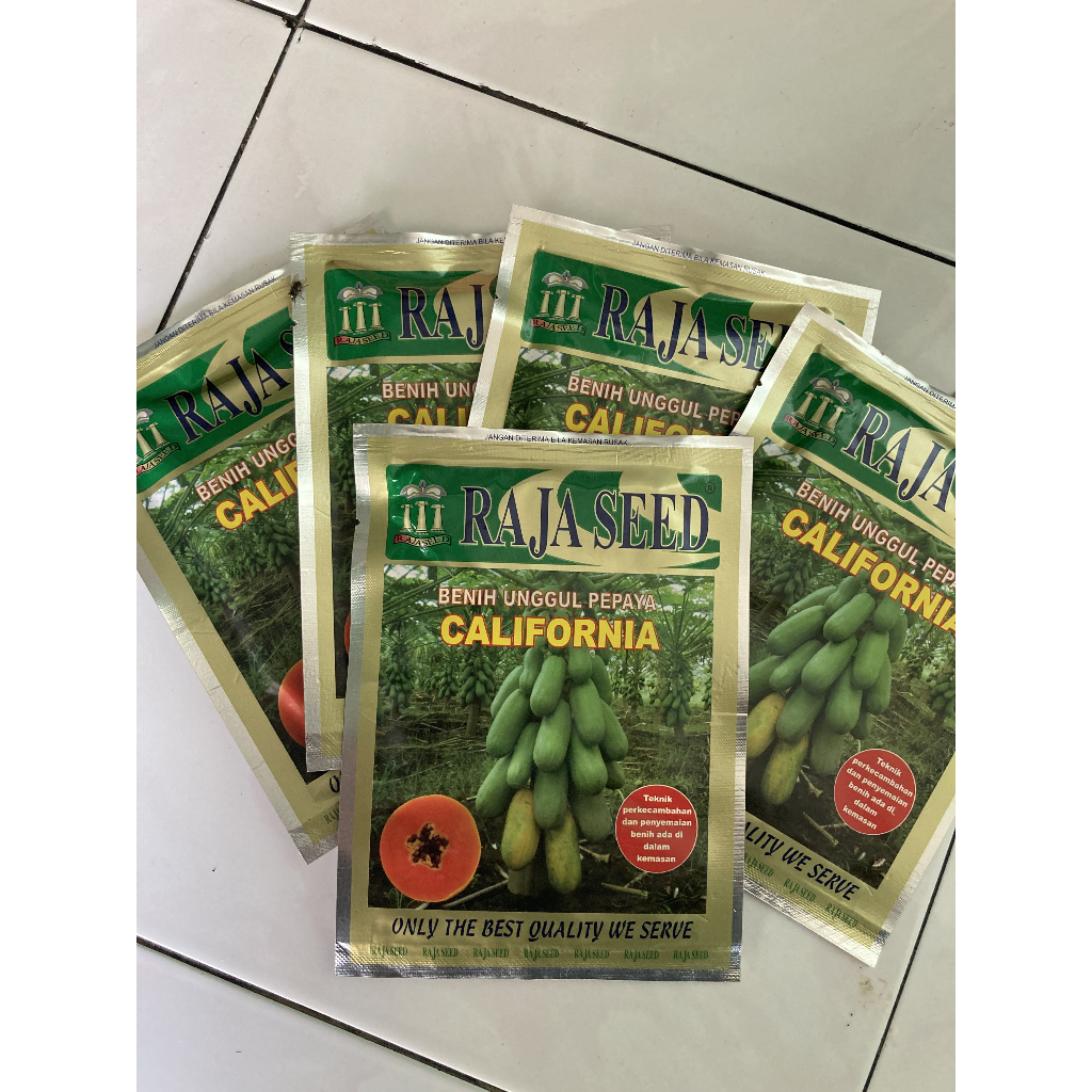 Jual Benih Unggul Pepaya CALIFORNIA 5Gram ( -+300biji ) @Cap Raja Seed ...
