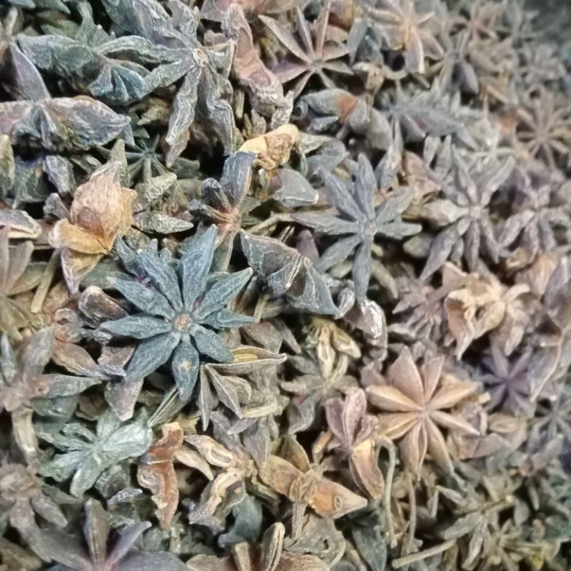 Jual Bunga Lawang Pekak,Bunga Lawang Peka Kering 250 gram | Shopee ...