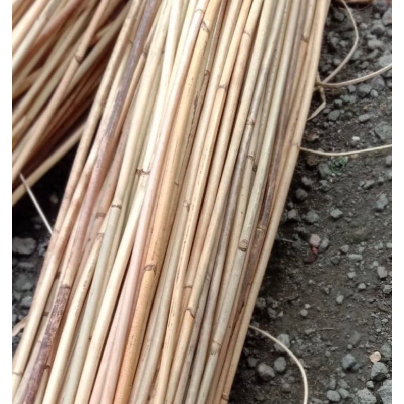 Jual kayu rotan panjang 1 meter murah batang rotan rotan asli | Shopee ...