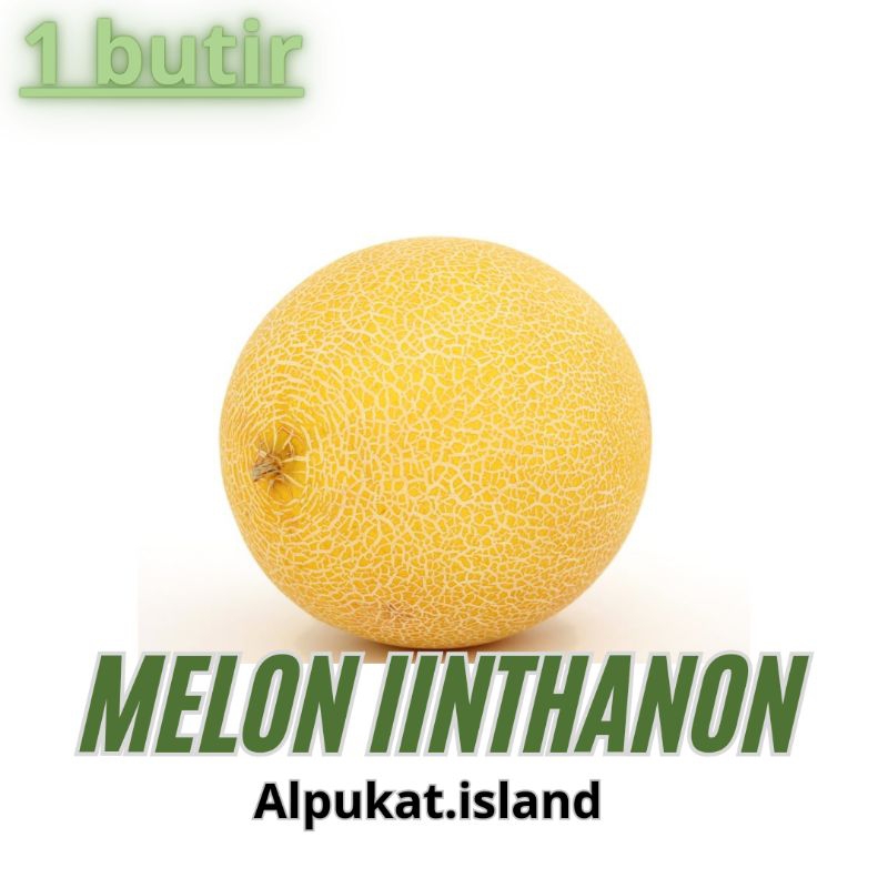 Jual melon inthanon perbuah utuh | 1kg lebih | Shopee Indonesia