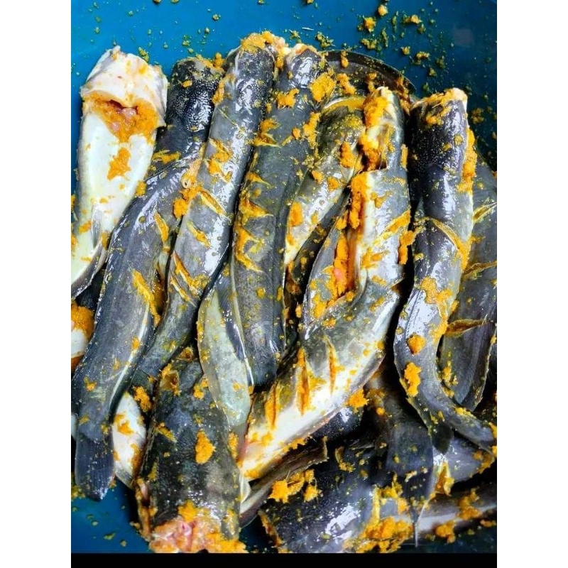 Jual aneka ikan marinasi lele | ikan mas | ikan bandeng | ikan kembung ...