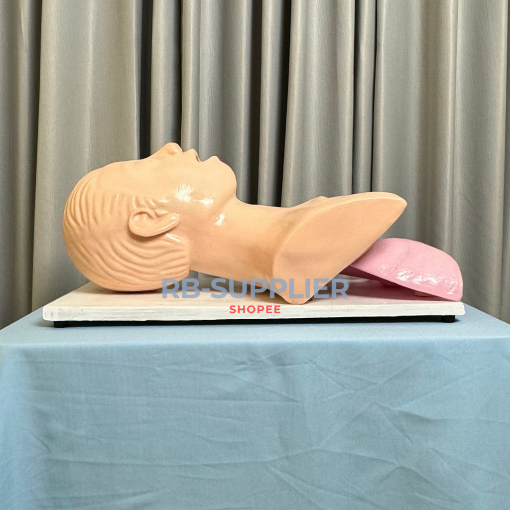 Jual Intubasi-Phantom Manikin/Manekin ETT/Airway-Endotracheal Tube-Alat ...