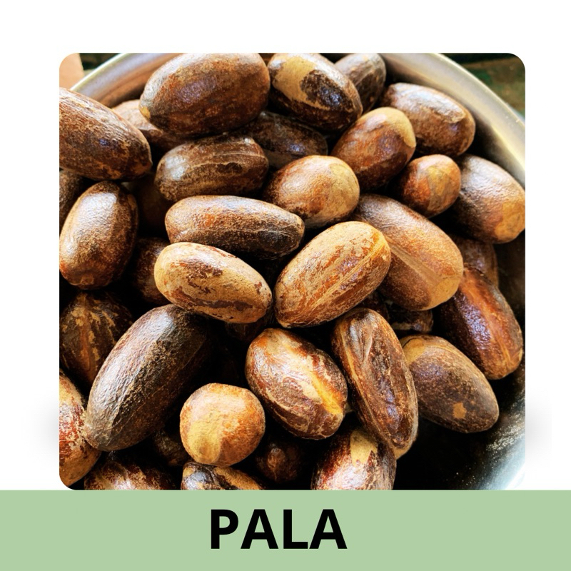 Jual Biji Pala lonjong bumbu rempah premium 250g | Shopee Indonesia