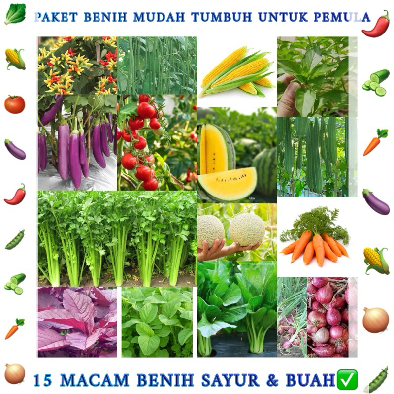 Jual Paket 15 Jenis Benih SAYURAN, lengkap unik banyak bonus HEMAT BANGET | Shopee Indonesia