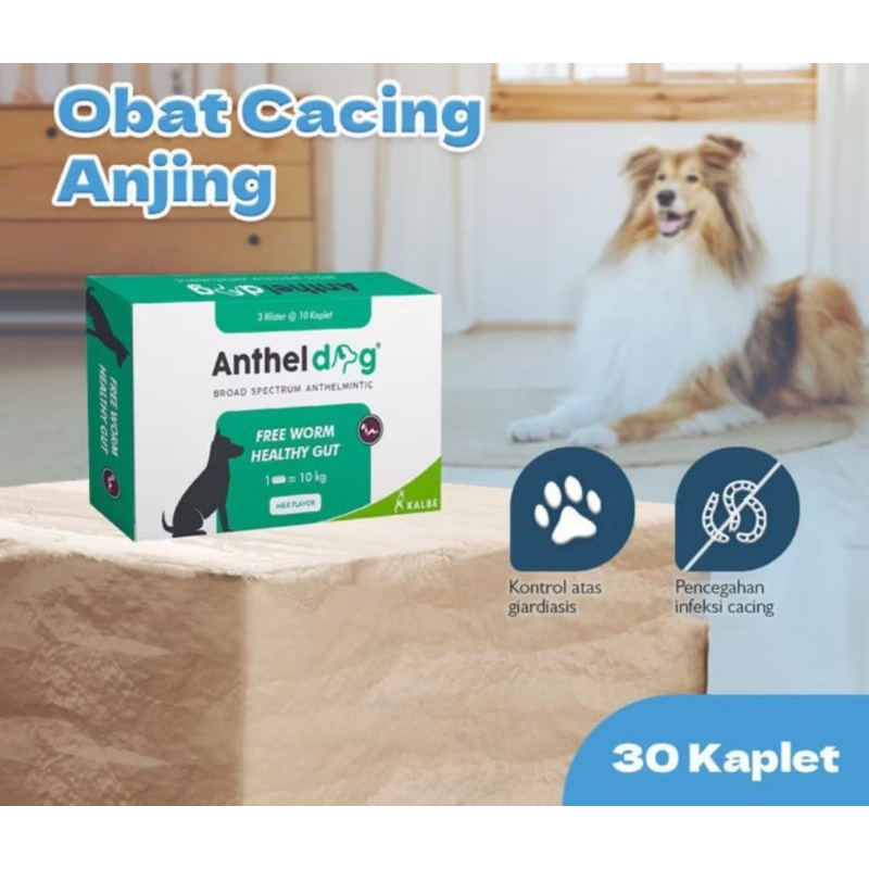 Jual Anthel Dog 1 Box @30 Tablet - Obat Cacing Anjing [ORIGINAL ...