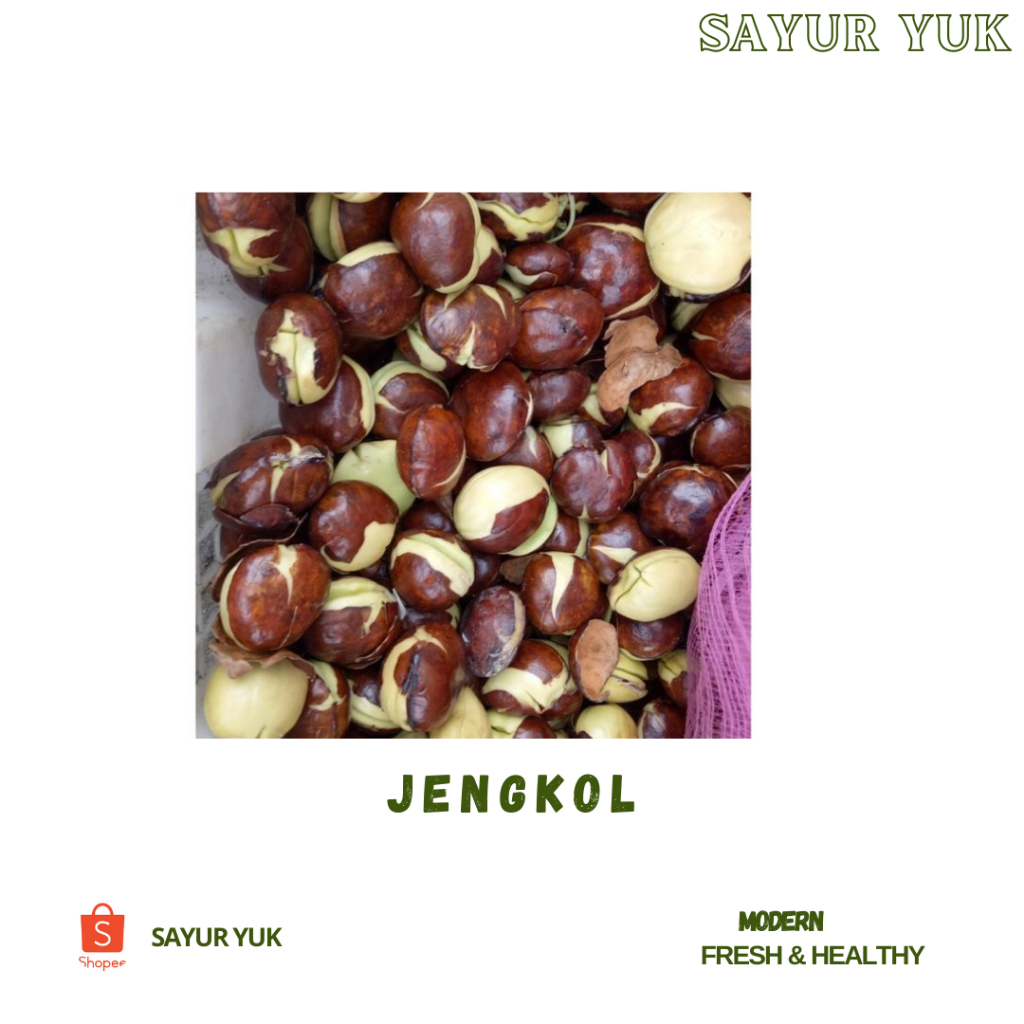 Jual JENGKOL [250 gr] | Shopee Indonesia