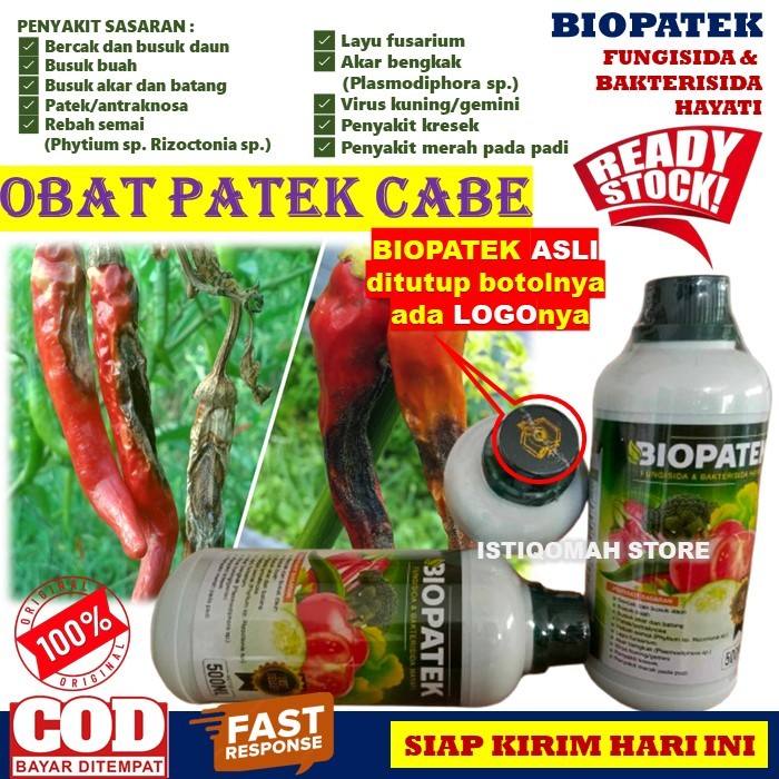 Jual Obat Patek Cabe Ampuh BIOPATEK 500ML Fungisida dan Bakterisida Hayati Obat Semprot Penyakit ...