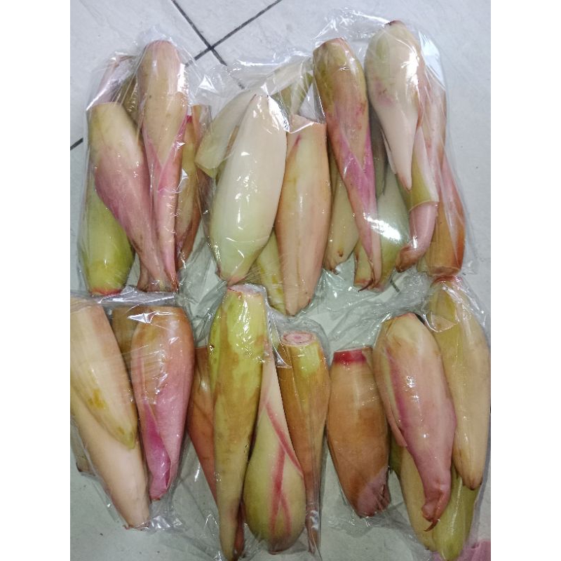 Jual Bunga rias Batang pendek 1kg | Shopee Indonesia