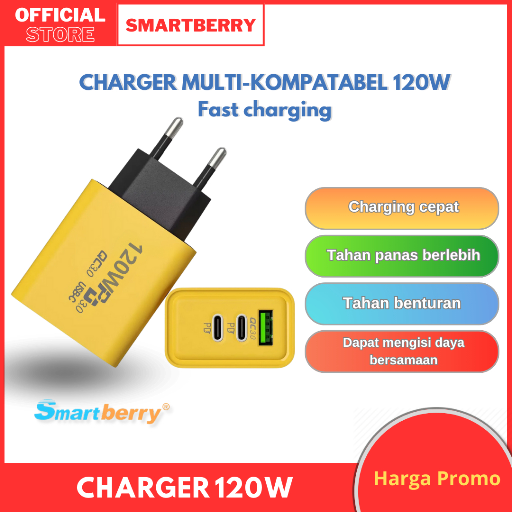 Jual Smartberry Kepala Charger Quick Charging Dual Type-C & USB 120W ...