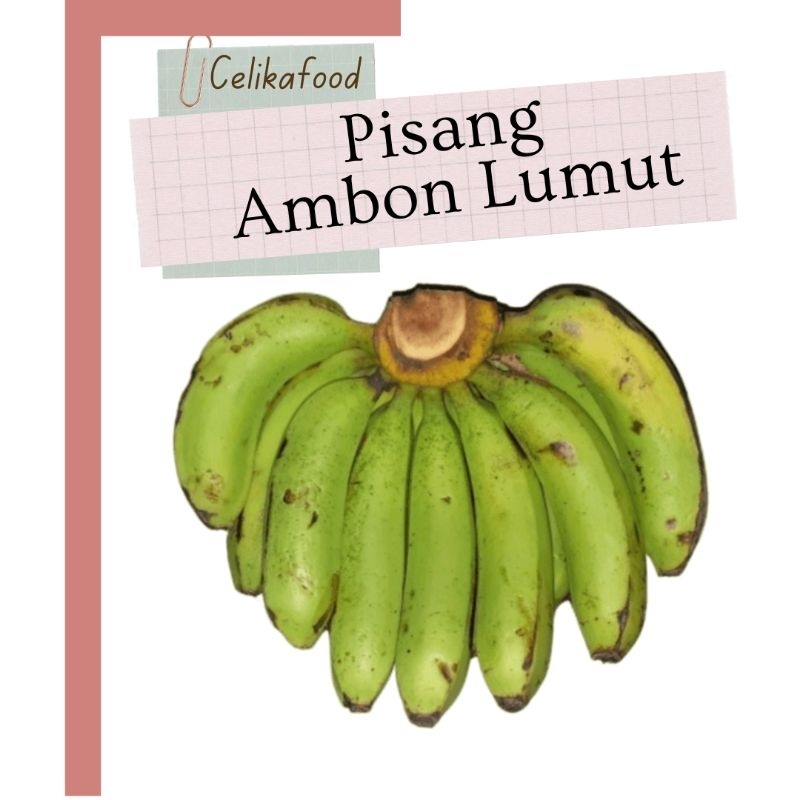 Jual Pisang Ambon Lumut 1 Sisir Buah Cau Fruit Hijau Fresh Banana ...