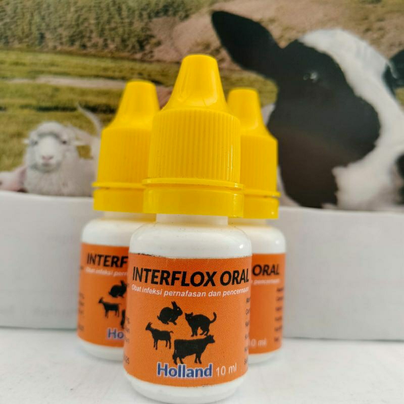 Jual Interflox oral 10ml, obat flu dan saluran pencernaan langsung ...