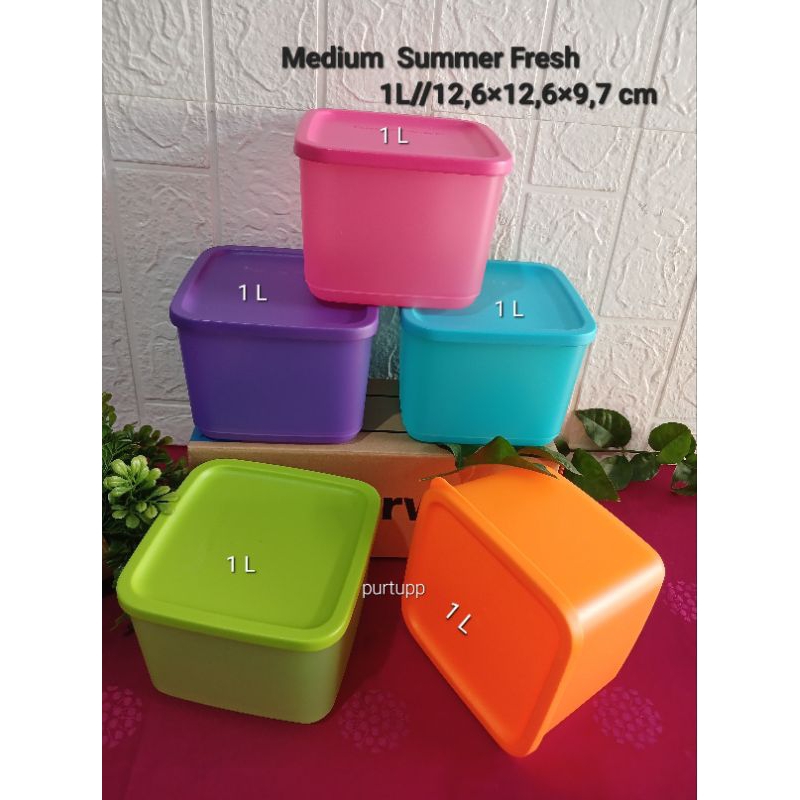 Jual TUPPERWARE Medium Summer fresh@1L tempat makan/toples | Shopee ...