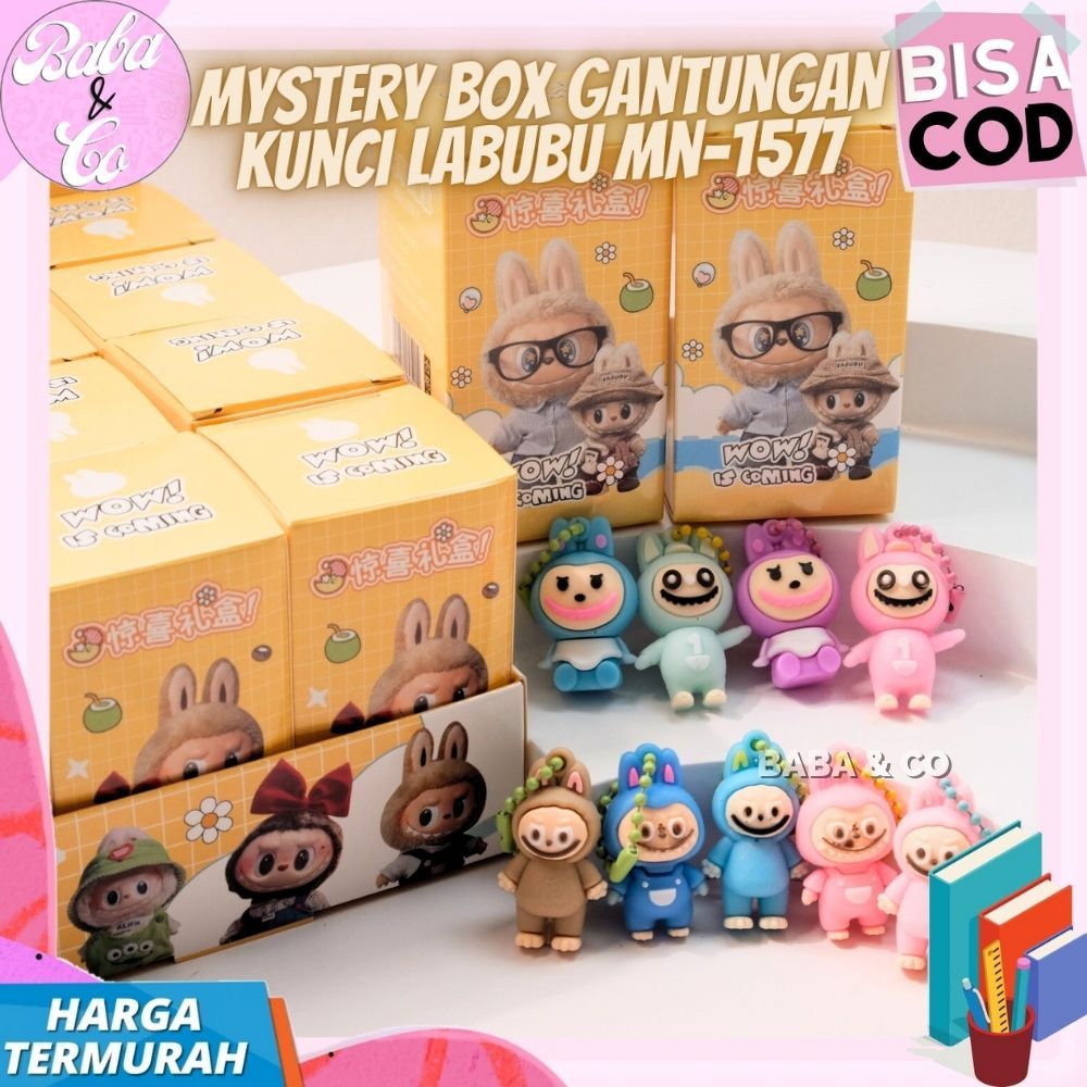 Jual MISTERI PACK GANTUNGAN KUNCI LABUBU GANTUNGAN LABUBU MYSTERY BAG ...