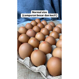 Jual Telur Omega Terlengkap & Harga Terbaru Januari 2026 | Shopee Indonesia