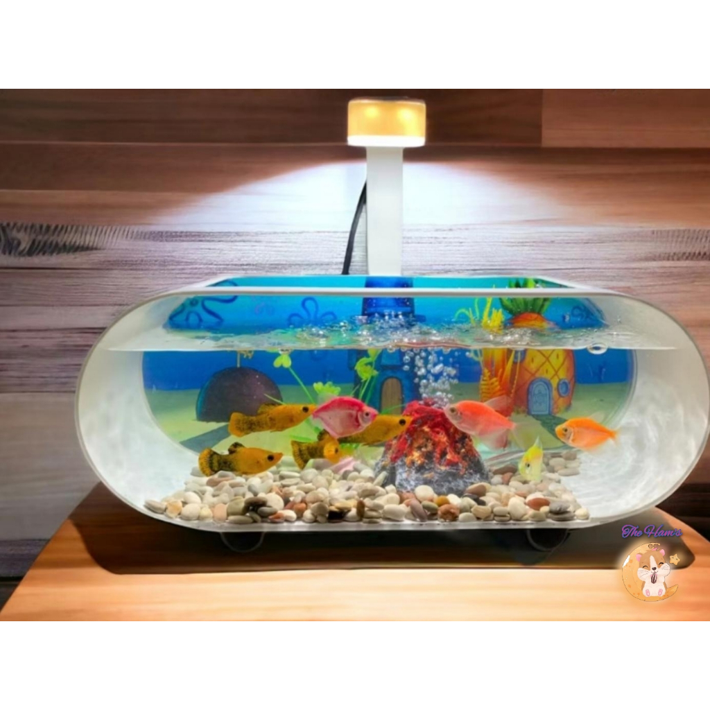 Jual (The Ham's) 1 Set Aquarium Mini /Akuarium akrilik Lengkap Dengan ...