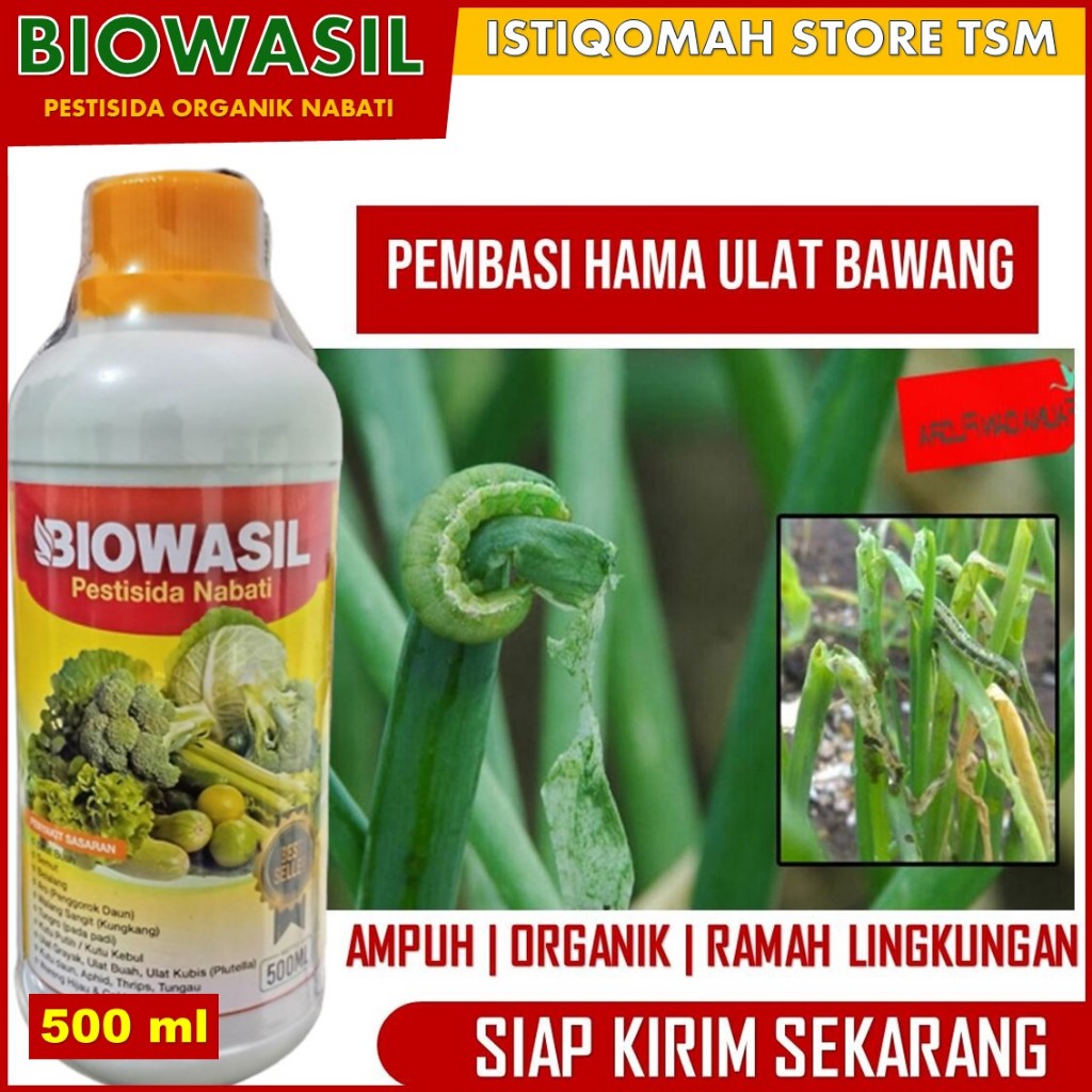 Jual (COD) BIOWASIL 500 ML PESTISIDA HAMA ULAT BAWANG MERAH, BAWANG DAUN, PADI Obat Hama Tanaman ...