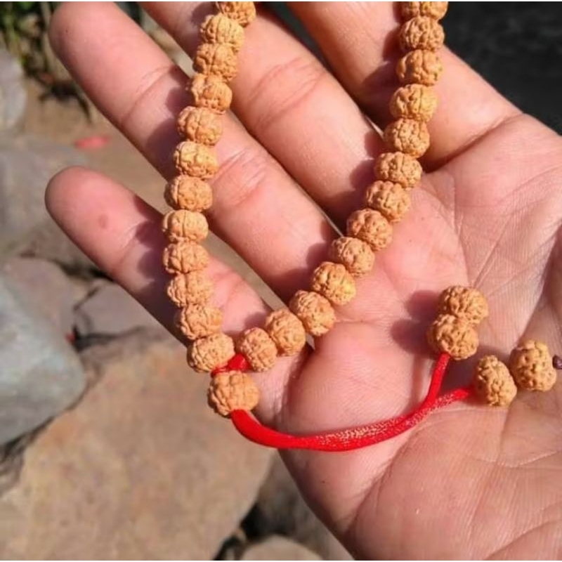 Jual RUDRAKSHA GELANG JENITRI MOTIF 2 | Shopee Indonesia