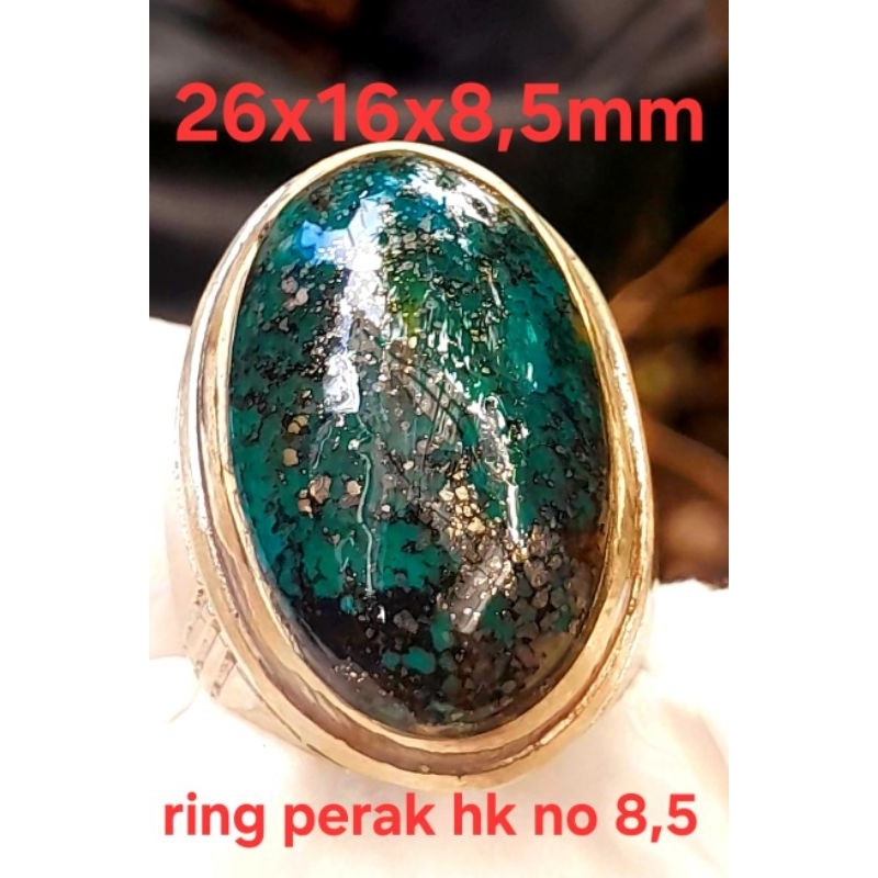 Jual Pirus Persia ceplok kuro dark green HQ | Shopee Indonesia