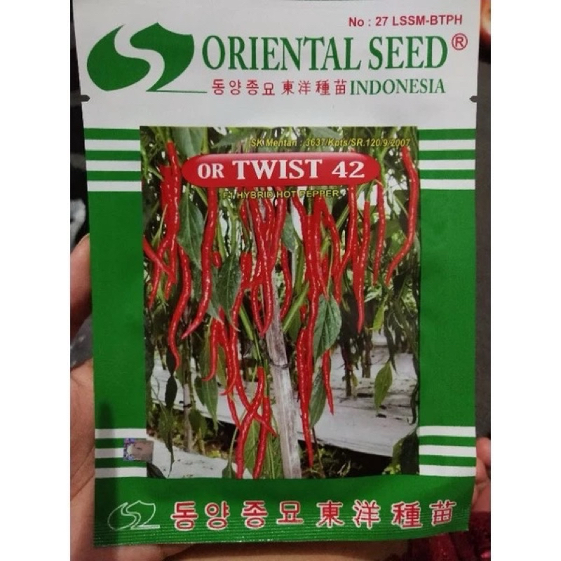 Jual Benih Bibit Cabe Keriting OR TWIST 42 F1 10 gram kemasan original ...