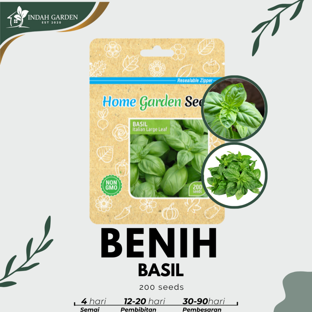 Jual Kemangi - Benih Basil Italian Large Leaf - Home Garden Seed ...