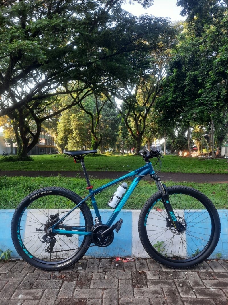 Jual Polygon CASCADE 4 TAHUN 2023 | Shopee Indonesia