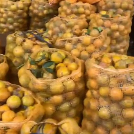 Jual JERUK PERES BABY JAVA MALANG UKURAN KECIL 1KG | Shopee Indonesia