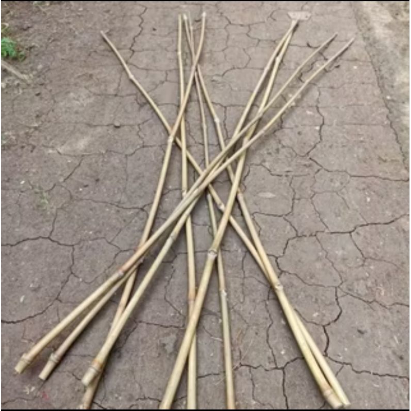 Jual BAMBU BULAT MINI TURUS AJIR TANAMAN / RANTING BAMBU PANJANG 100 CM ...