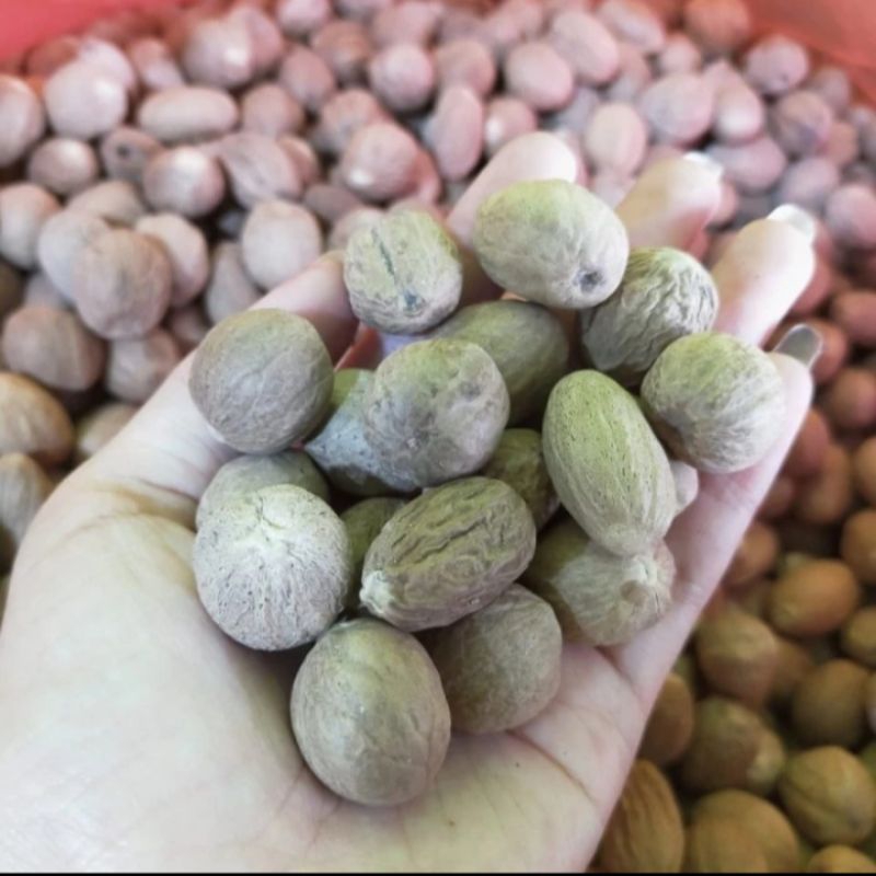 Jual Biji Pala Bulat (Utuh)/Nutmeg Whole Asli Dan Fresh 500 gram ...