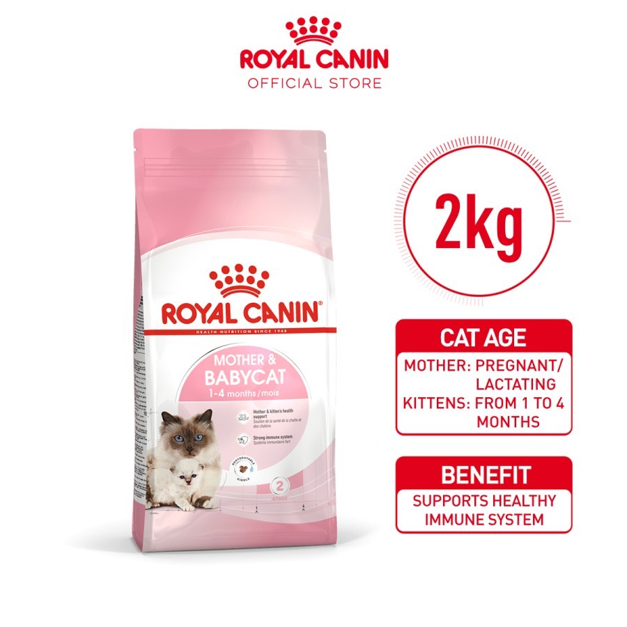 Jual Royal Canin Cat Mother & Baby Cat 2 Kg Dry Cat Food RC Makanan ...