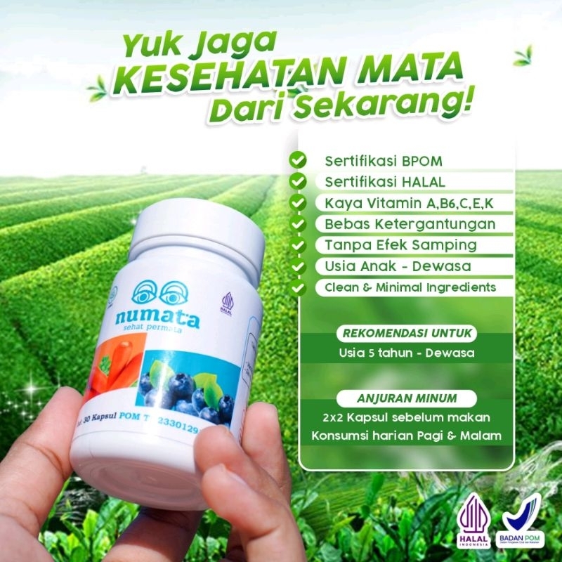 Jual Kapsul Numata Obat Herbal Membantu Atasi Mata Minus Glaukoma ...
