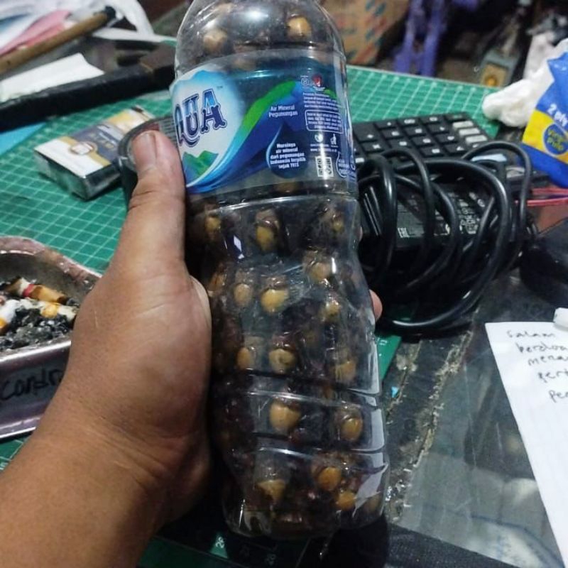 Jual PUTHUL RAMPAL ASLI GUNUNGKIDUL MAKANAN UNIK KHAS PUTUL | Shopee ...