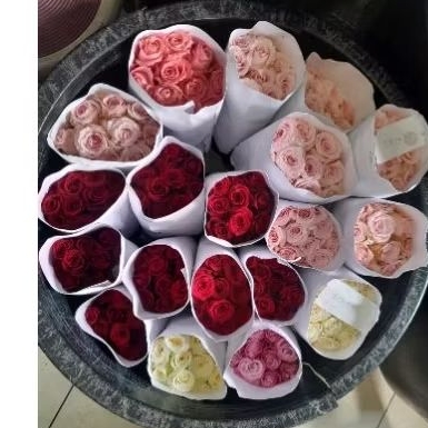 Jual bunga mawar Karina segar isi 10 tangkai | Shopee Indonesia