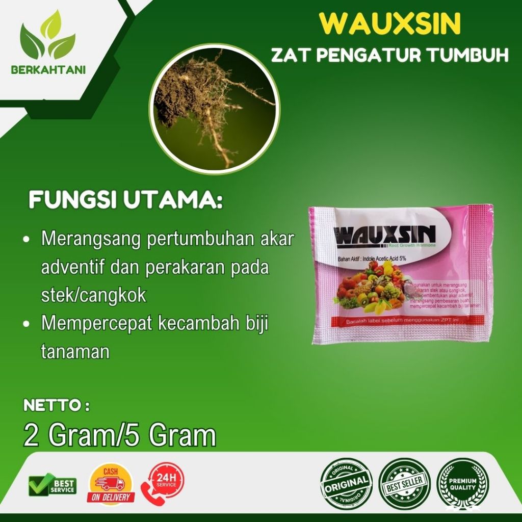 Jual Pupuk Pemercepat Akar Hormon Akar ZPT Akar Wauxin 10 WP 5 Gram ...