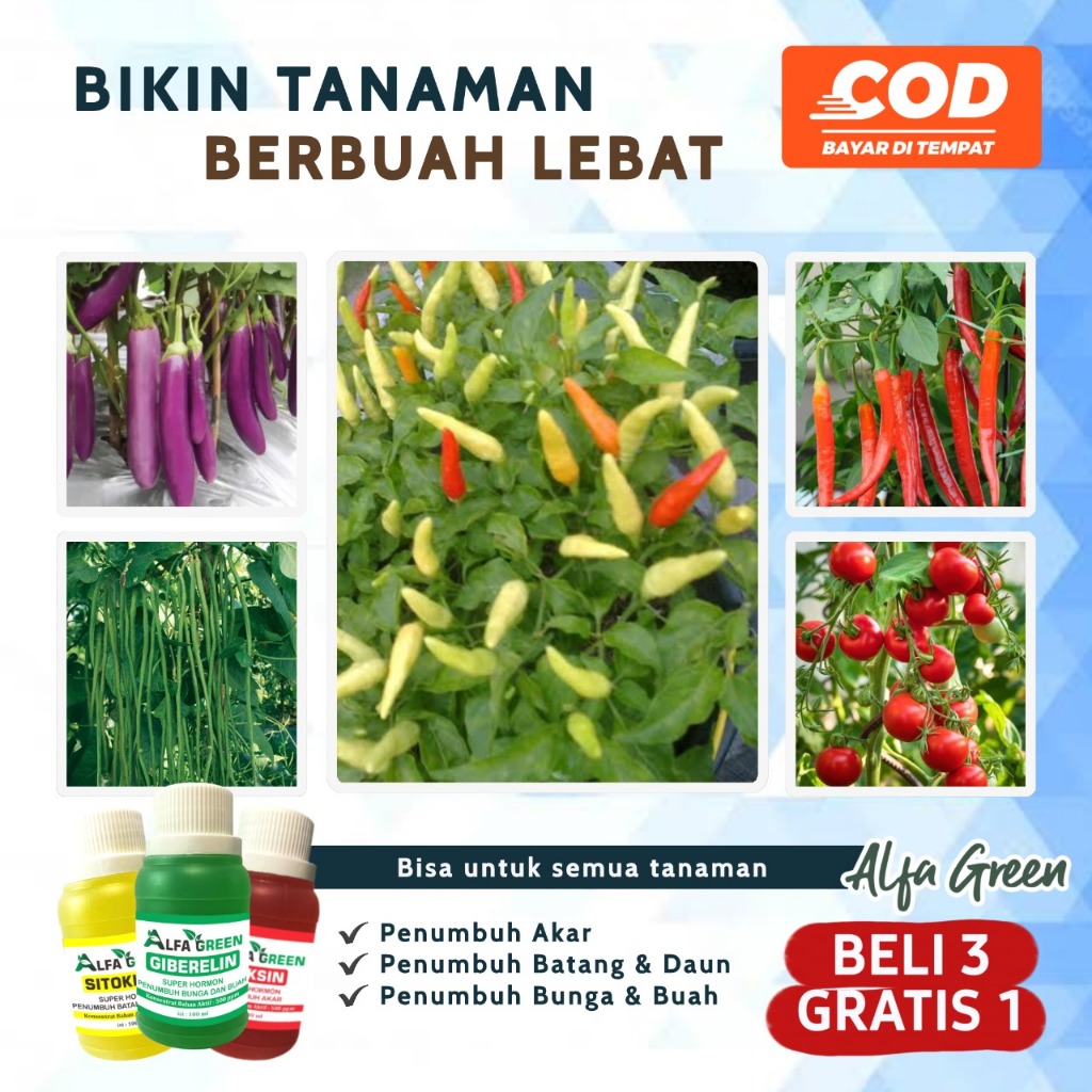 Jual Hormon Pertumbuhan Hormon Tanaman Penyubur Pupuk Organik Cair ...