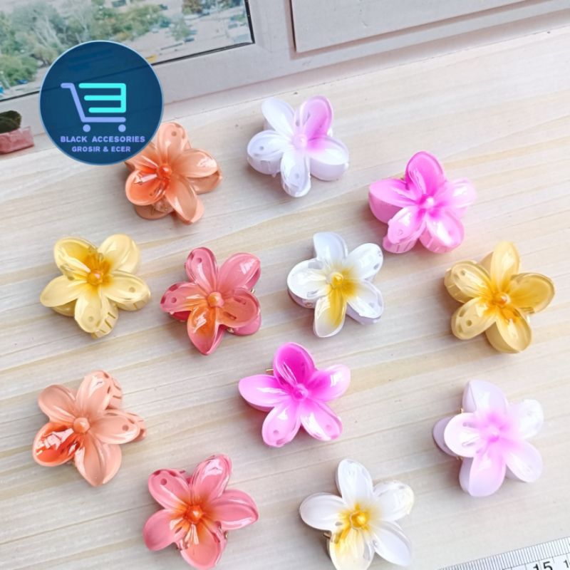 Jual Jepit rambut jedai KAMBOJA tanggung isi 12 pcs | Shopee Indonesia