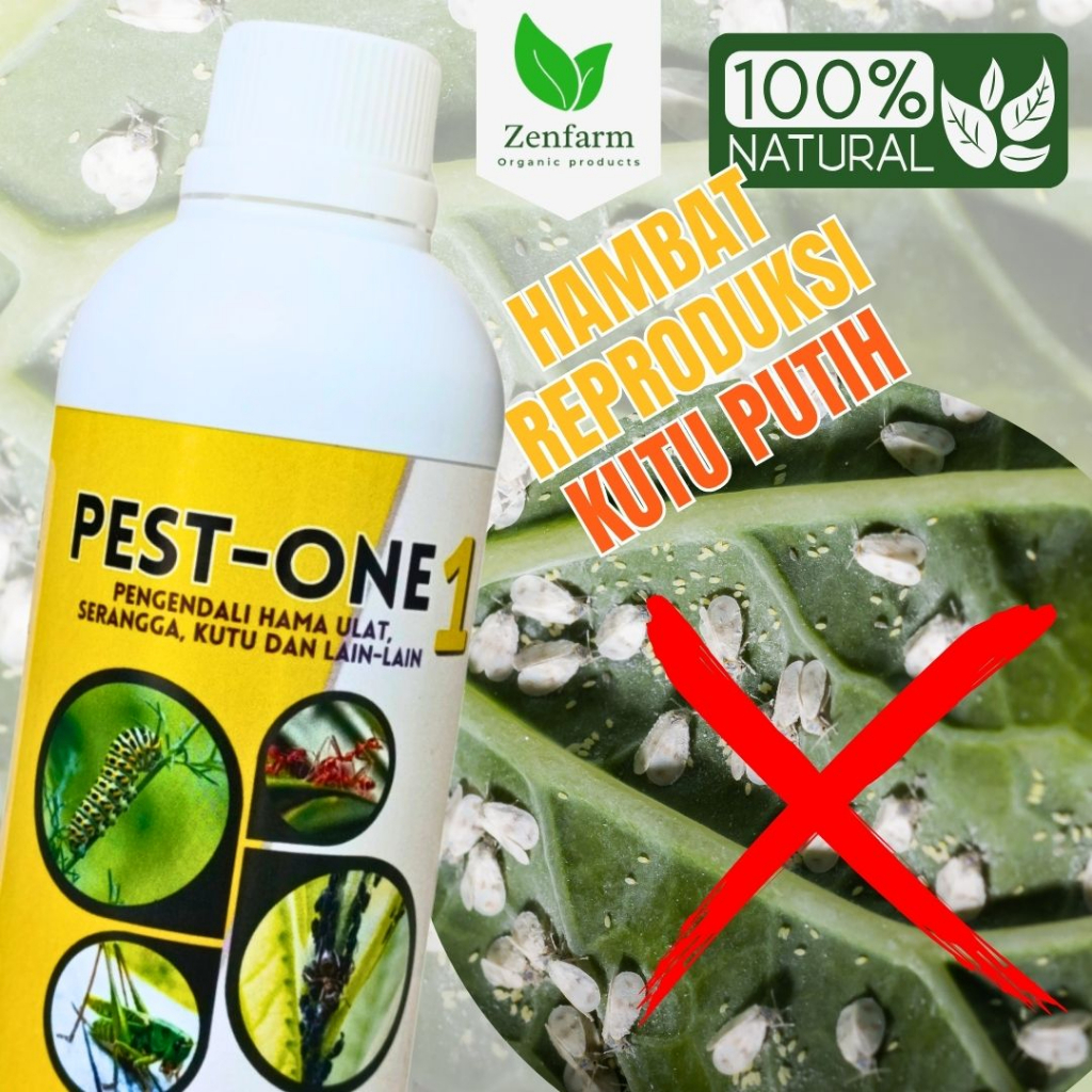 Jual Pest One pestisida organik pembasmi hama kutu putih dan jamur pada ...