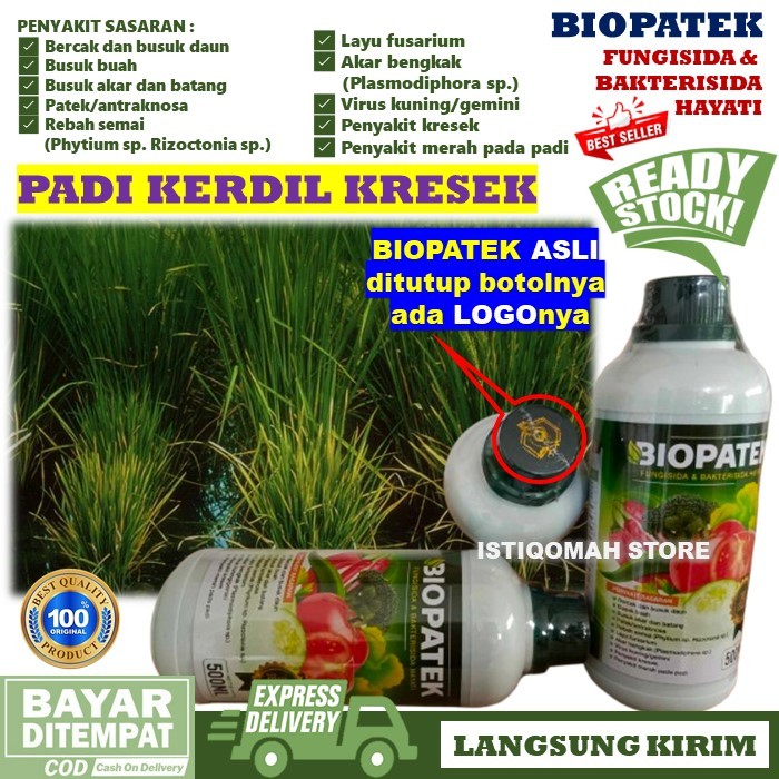 Jual Obat Padi Kerdil Kuning Paling Ampuh BIOPATEK 500ML Fungisida Hayati Obat Semprot Hama Padi ...