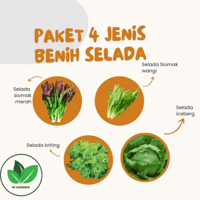 Jual Paket 4 Jenis Benih Unggul Selada keriting selada wangi siomak ...