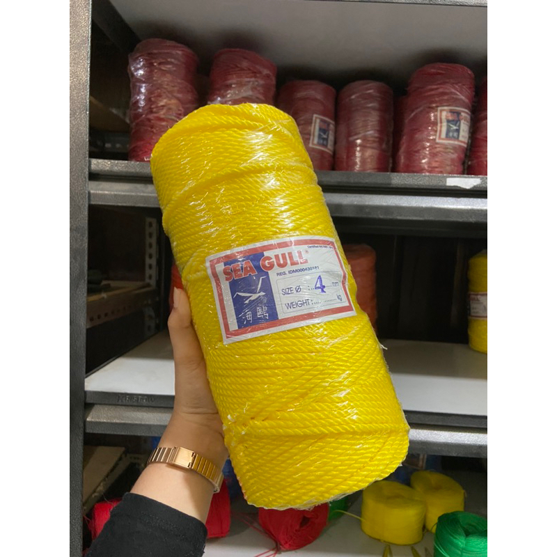 Jual Tambang 4mm Panjang 200m/Tali Tambang PE 4mm/Tali Tampar 4mm | Shopee Indonesia