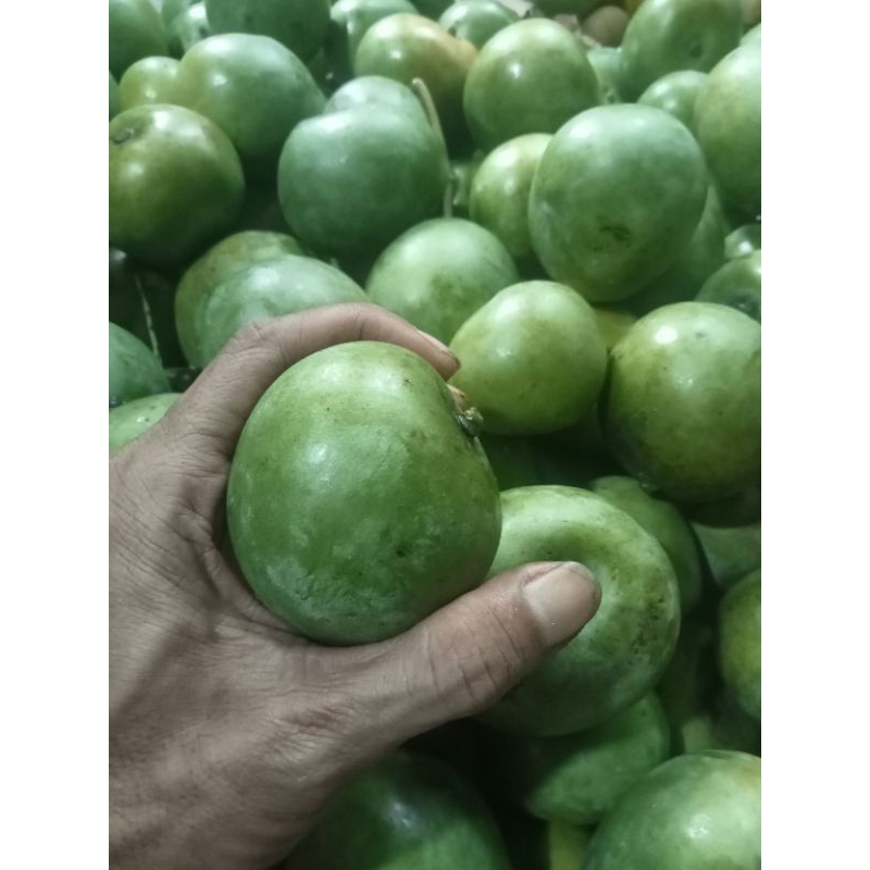 Jual mangga apel mangga telor mentah fress 1kg | Shopee Indonesia