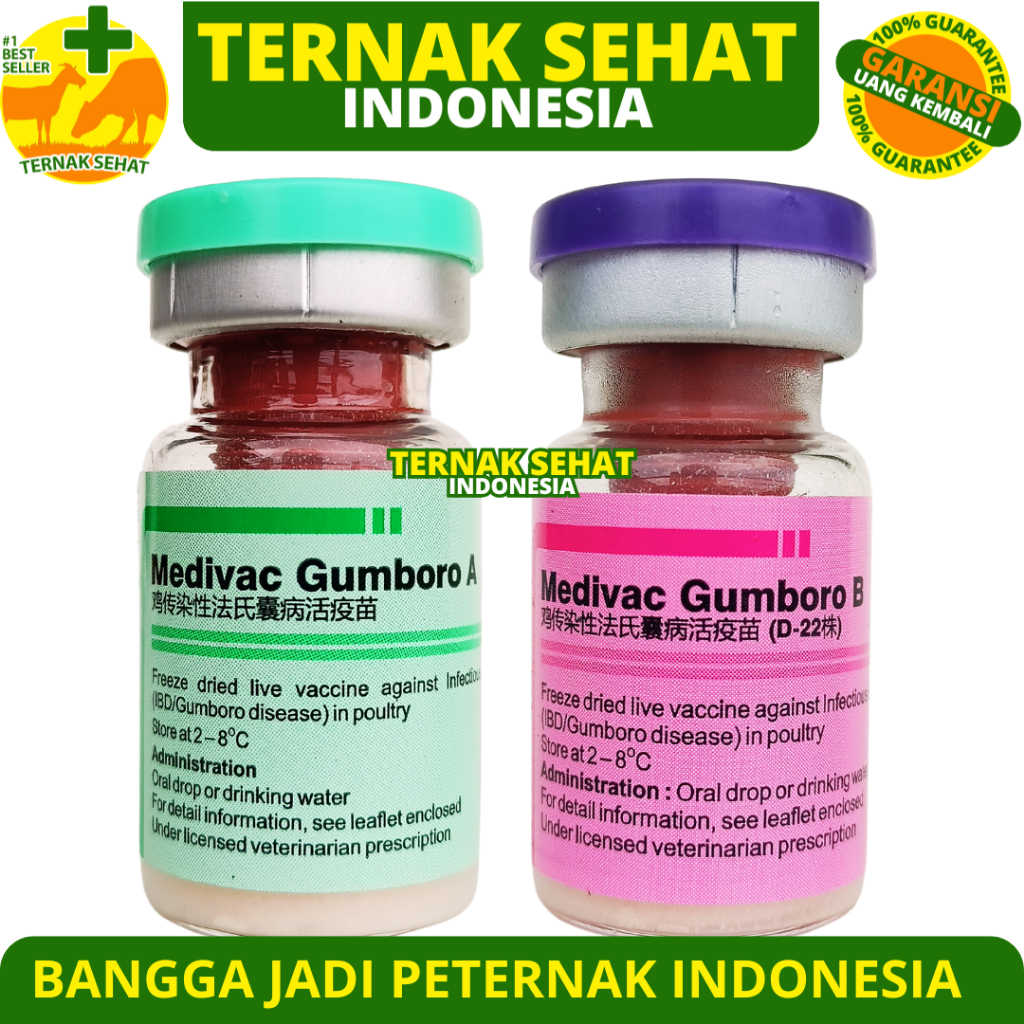 Jual VAKSIN MEDIVAC GUMBORO A & B 100 DOSIS + PELARUT - Vaksin Gumboro IBD Aratan Ayam Burung ...